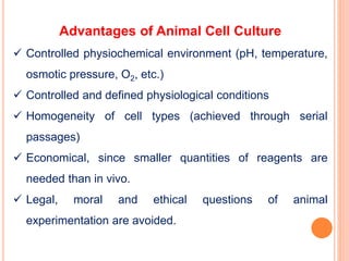 Animal Cell Culture_Basics in Animal Biotechnology.ppt
