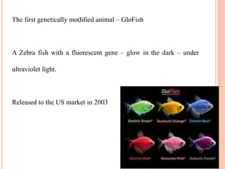 Animal Cell Culture_Basics in Animal Biotechnology.ppt