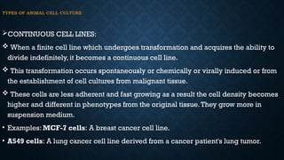 ANIMAL CELL CULTURE, MICROBIOLOGY B.PHARMACY SECOND YEAR | PPT