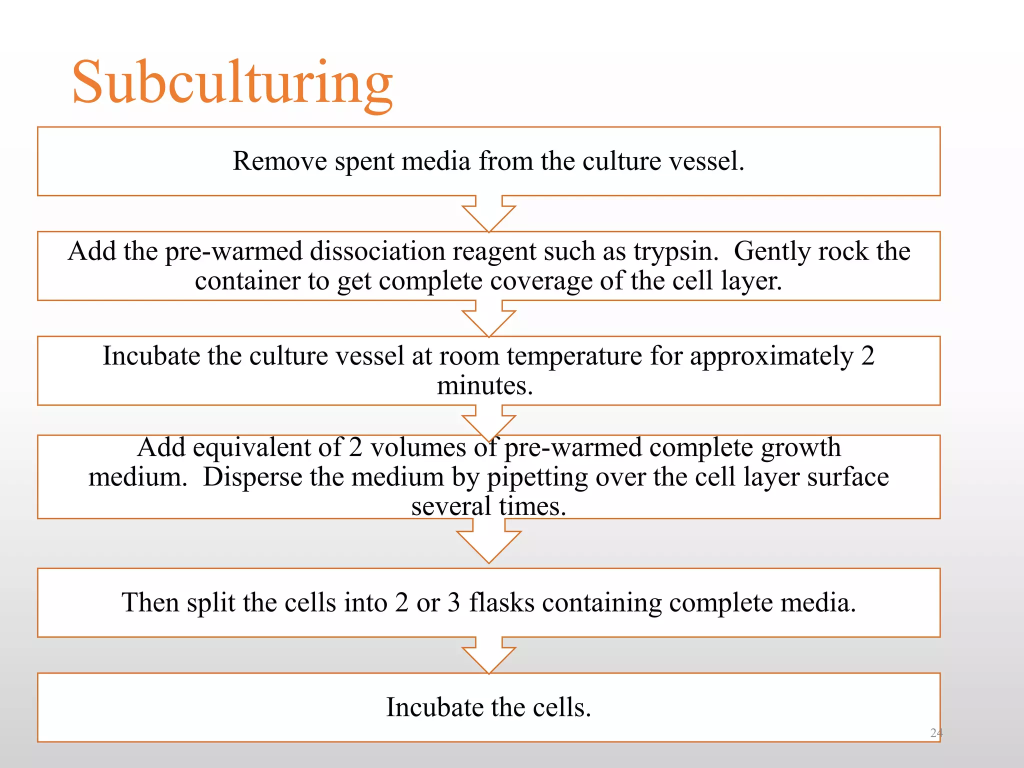 Animal cell culture techniques | PPTX
