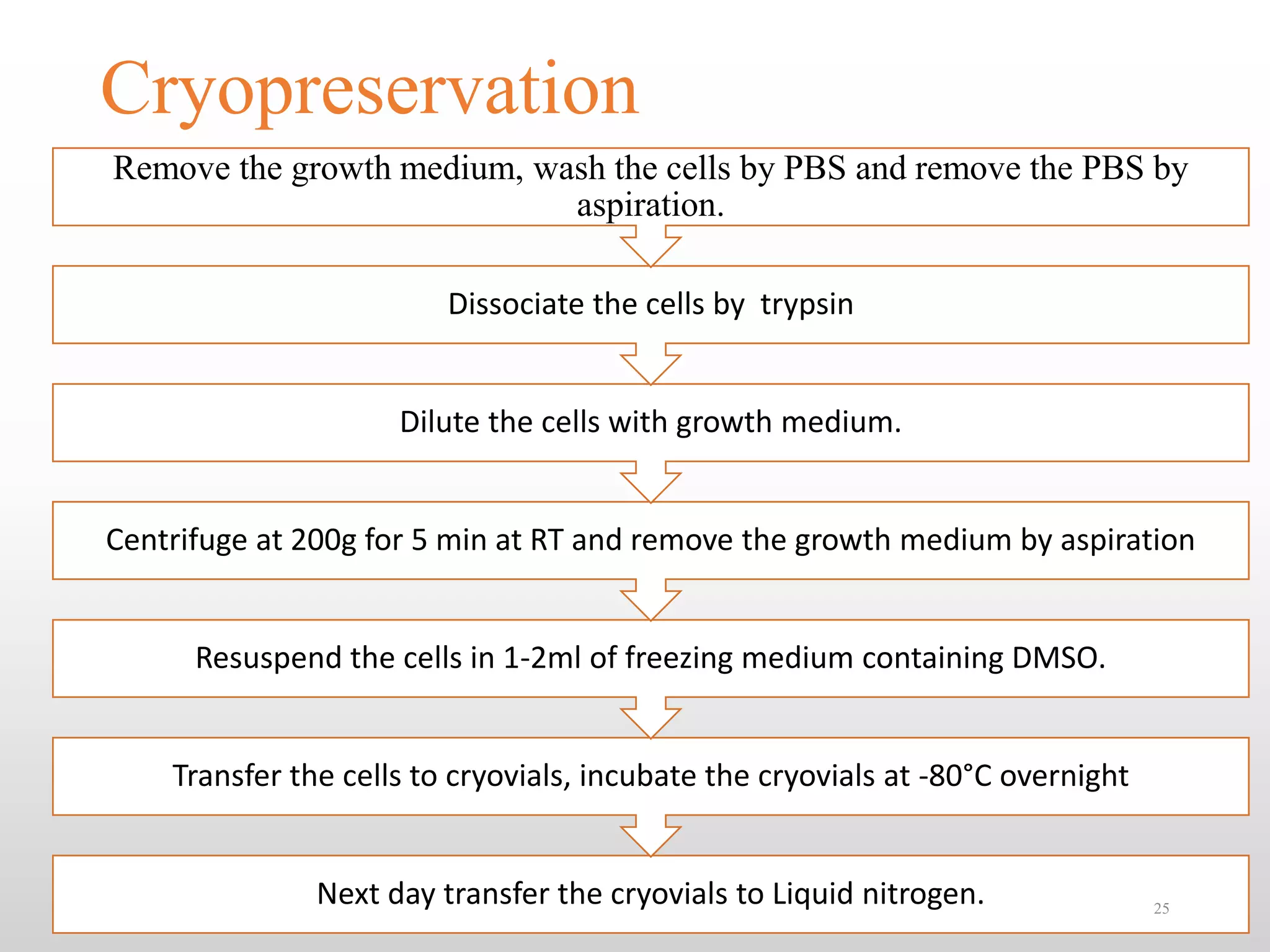 Animal cell culture techniques | PPTX