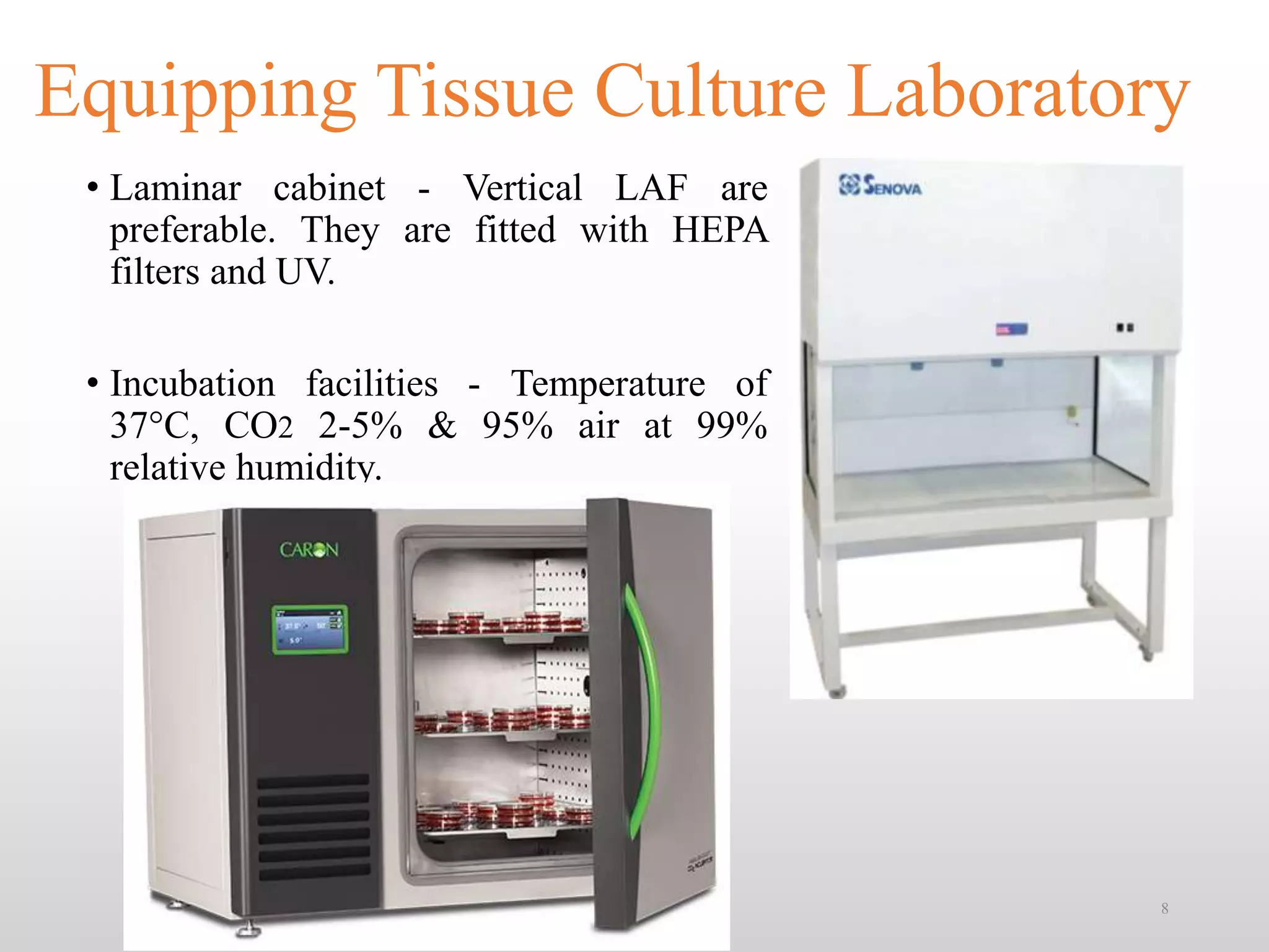 Animal cell culture techniques | PPTX