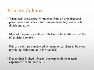 Animal cell culture techniques | PPTX