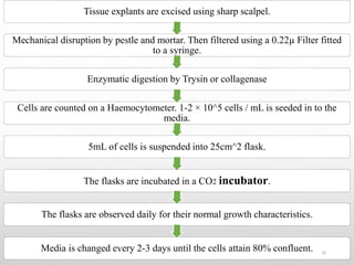 Animal cell culture techniques | PPTX