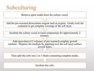 Animal cell culture techniques | PPTX
