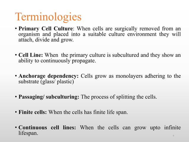 Animal cell culture techniques | PPTX