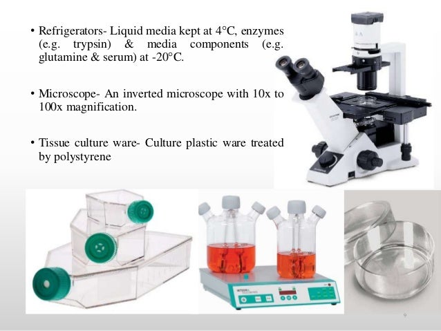 Animal cell culture techniques