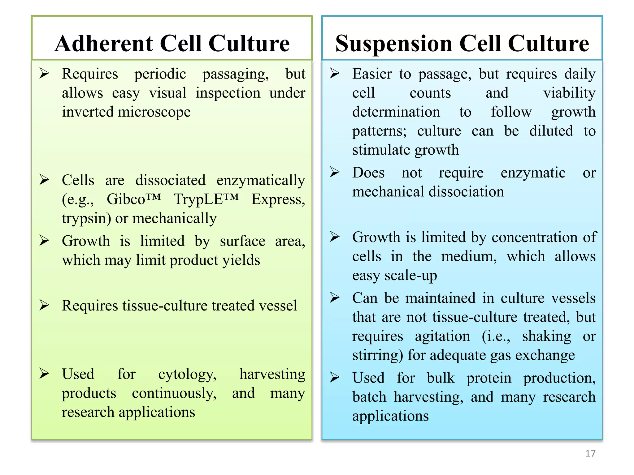 Animal cell introduction | PPTX