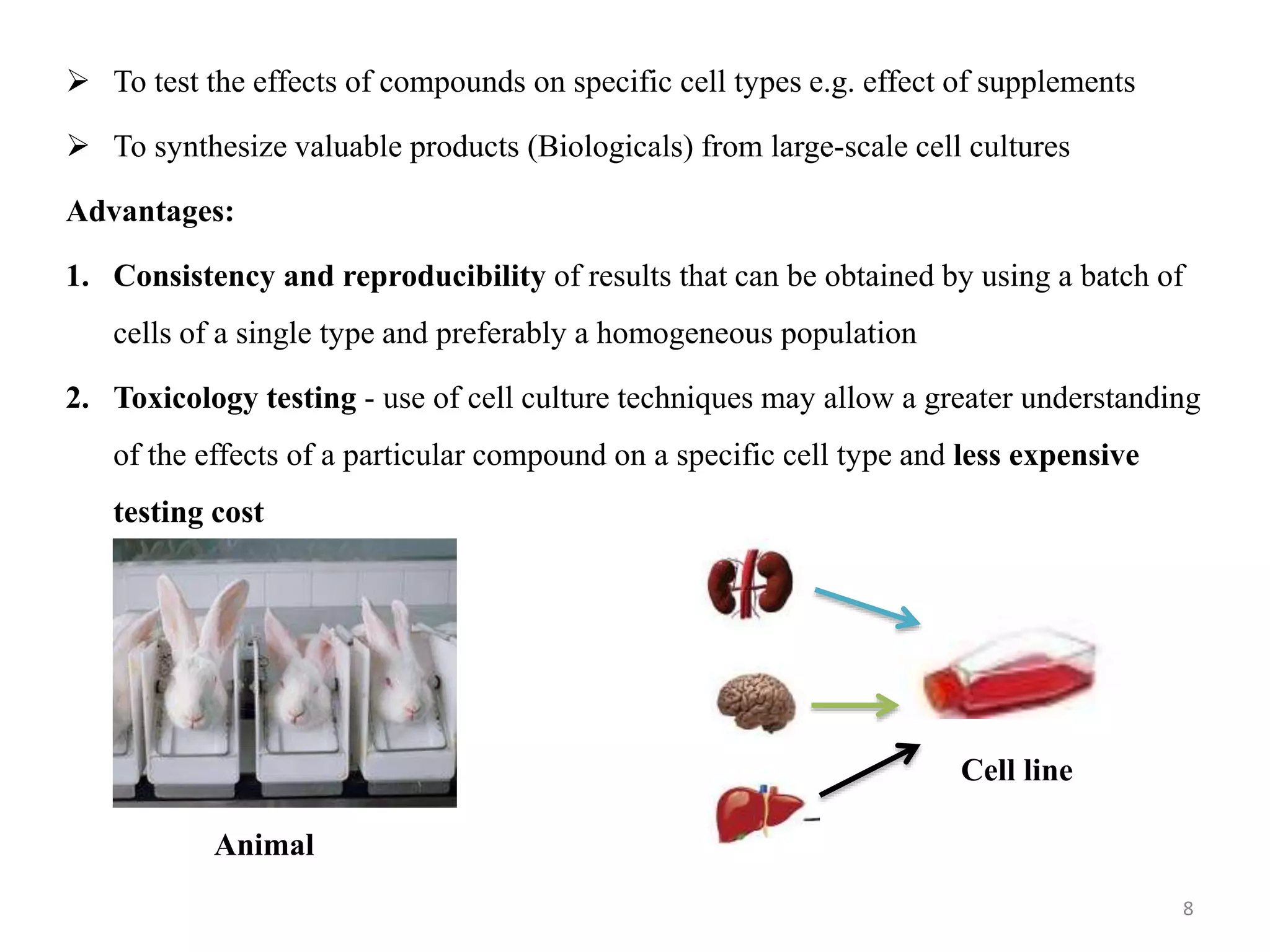 Animal cell introduction | PPTX