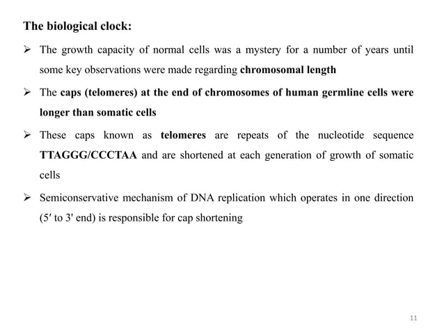 Animal cell introduction | PPT