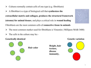 Animal cell introduction | PPTX