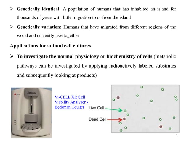 Animal cell introduction | PPT