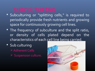 Animal cell lines culturing | PPT