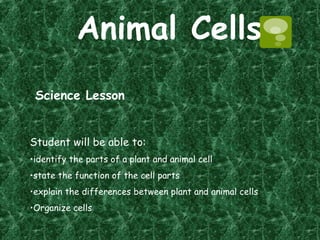 Animal cell pp lesson | PPT