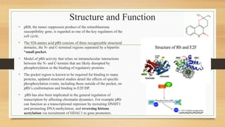 Tumour supressor genes | PPTX