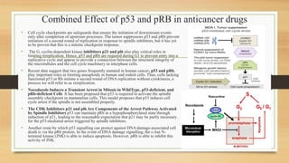 Tumour supressor genes | PPTX