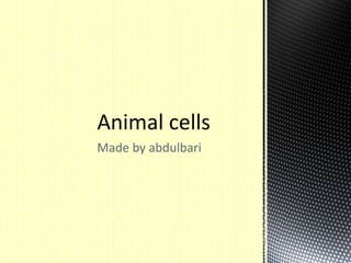 Animal cells | PPTX