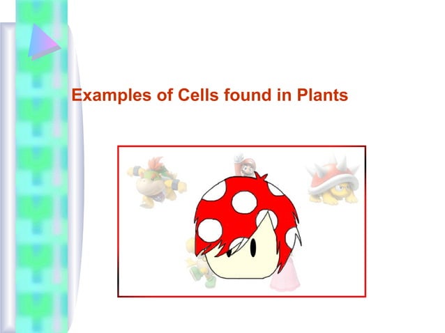Animal cells and plant cells | PPT | Biological Sciences | Science