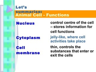 Animal cells and plant cells | PPT