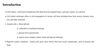 Animal cells basic concepts | PPTX | Biological Sciences | Science