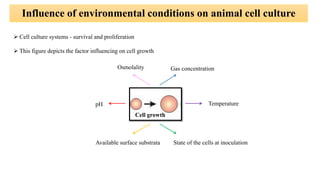 Animal cells basic concepts | PPTX
