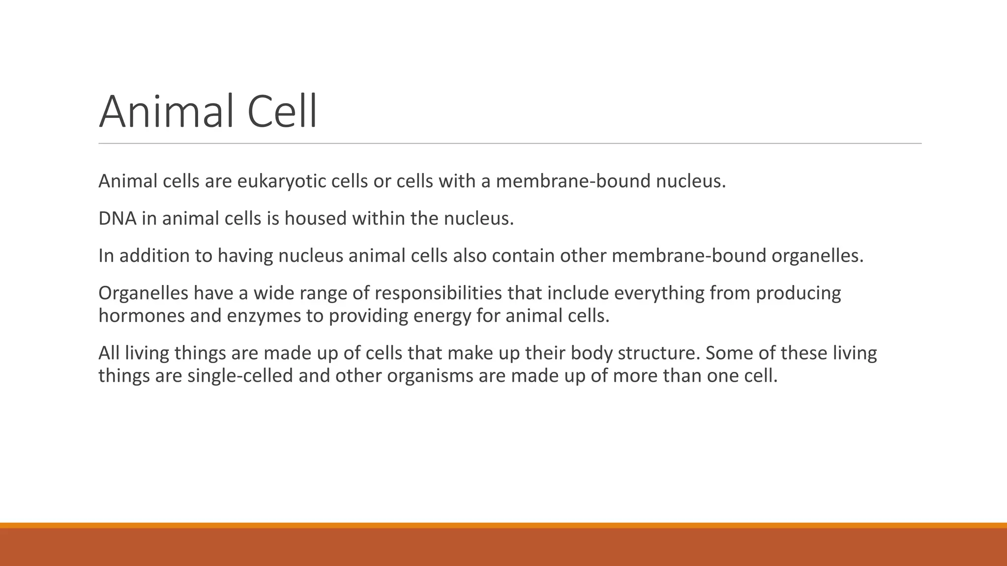 Animal Cell Structure | PPTX