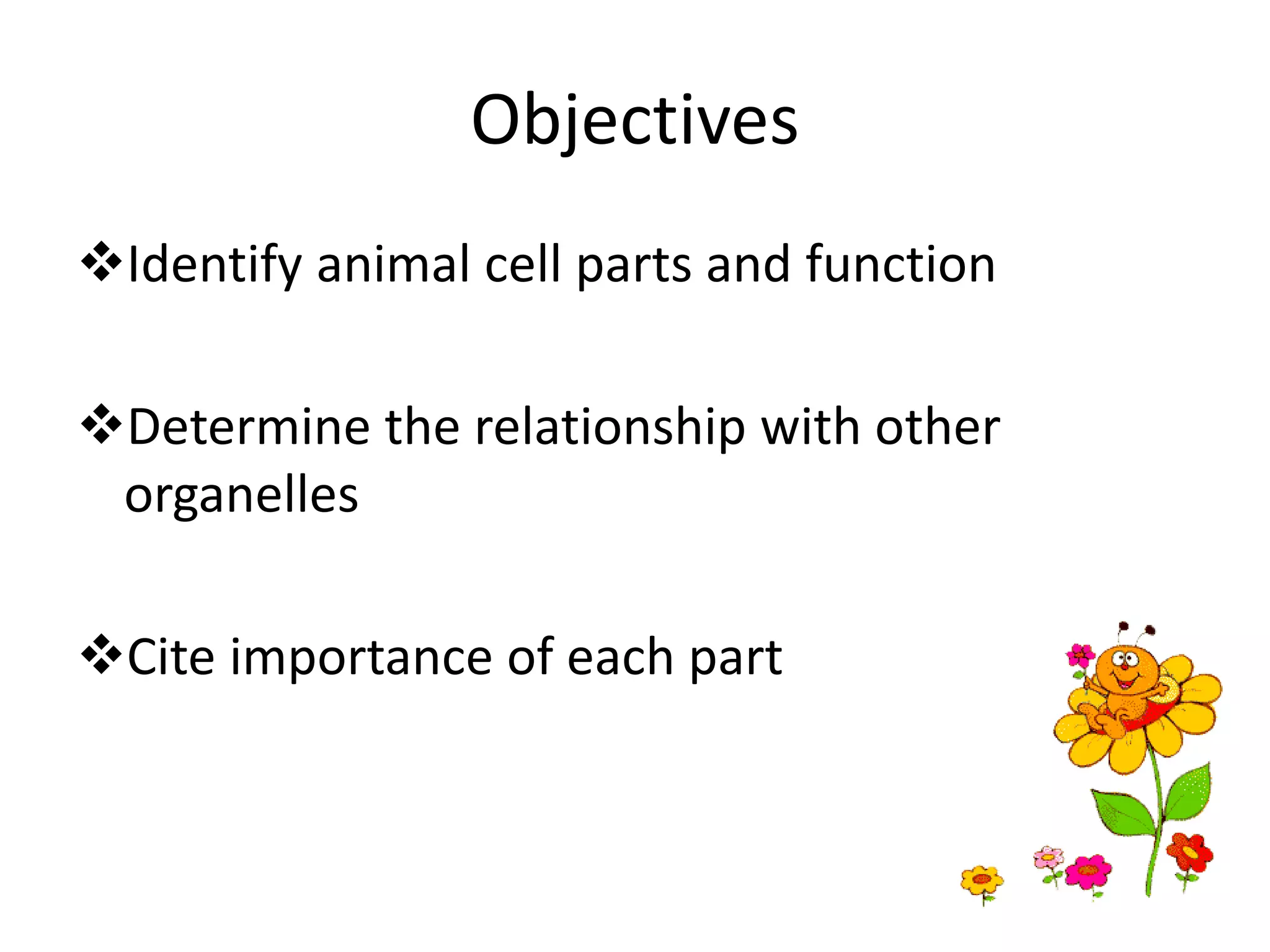 Animal cell structure and function copy | PPTX