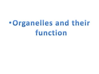 Animal cell structure and function copy | PPTX