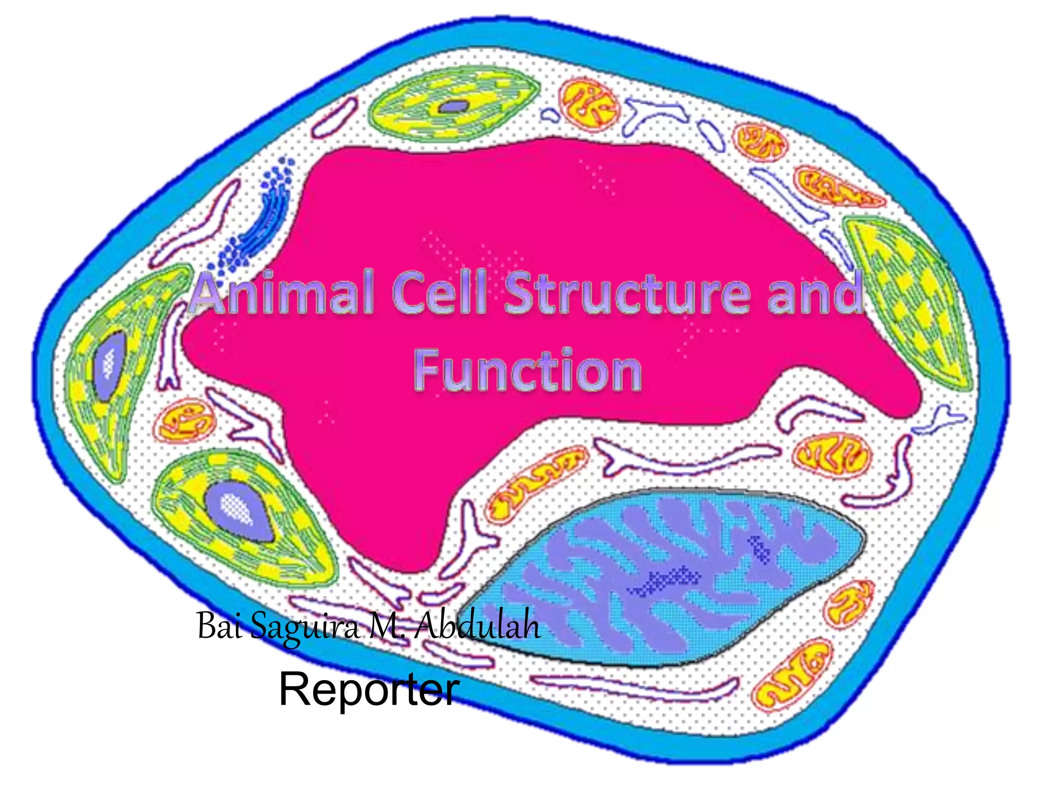 Animal cell structure and function copy | PPT