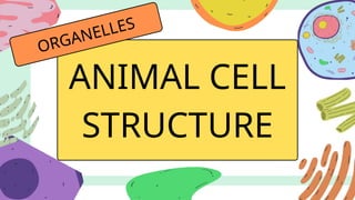 Animal Cell Structure.pptx describes the functions of common organelles found in animal cell | PPT