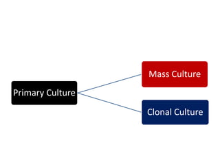 Animal cell & tissue culture | PPTX