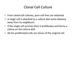 Animal cell & tissue culture | PPTX