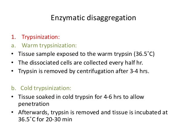 Animal cell & tissue culture