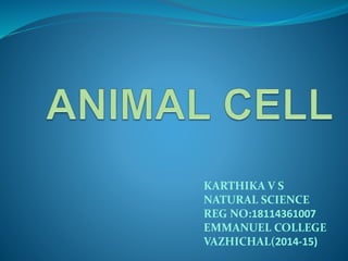 Animal cell | PPT