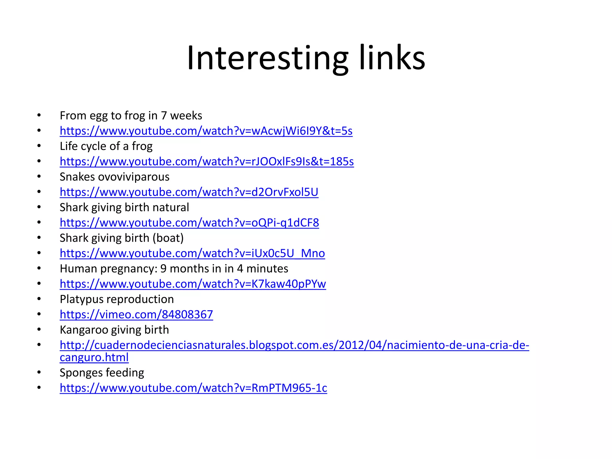 Animal characteristics chart | PPTX