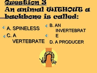 Animal characteristics (science) | PPT