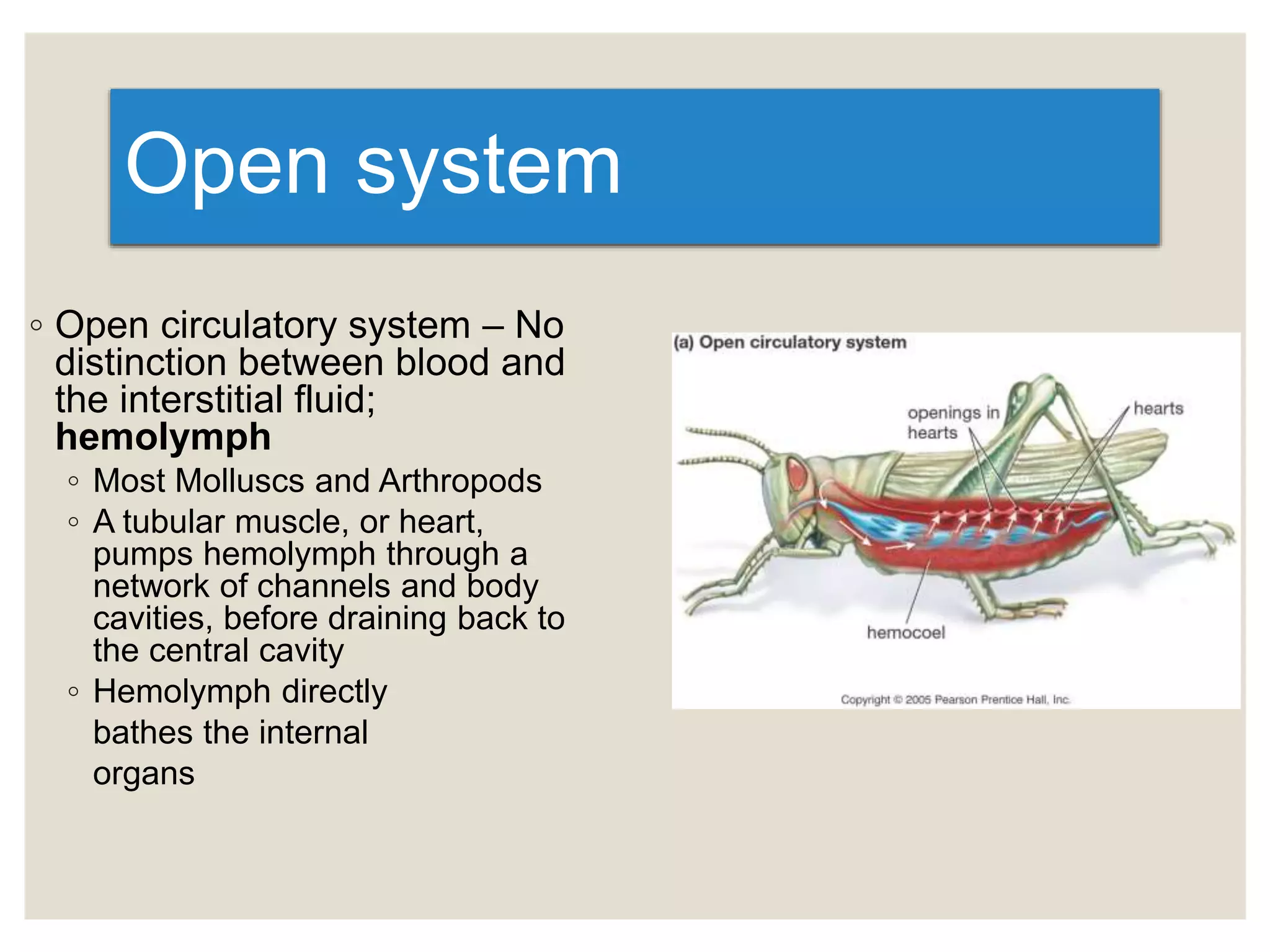 Animal circulatory system | PPTX