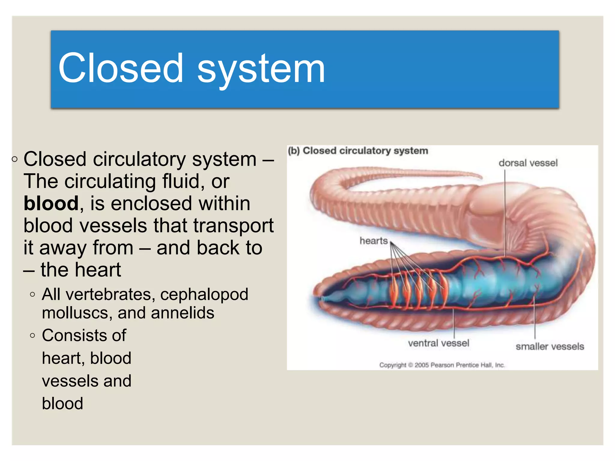 Animal circulatory system | PPTX
