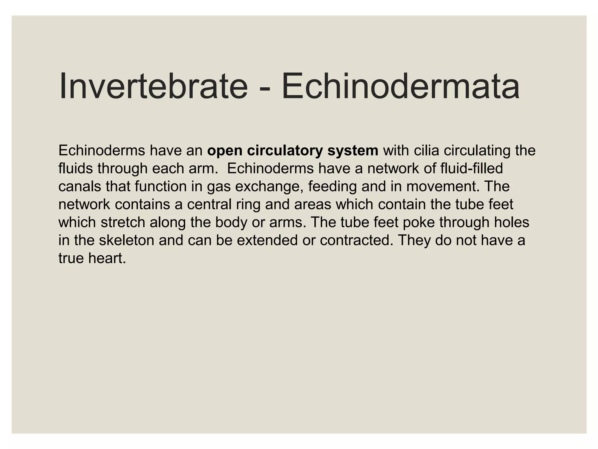 Animal circulatory system | PPTX