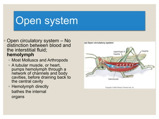 Animal circulatory system | PPTX