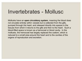 Animal circulatory system | PPTX