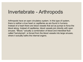 Animal circulatory system | PPTX
