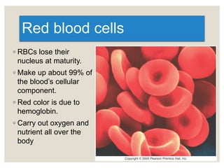 Animal circulatory system | PPTX