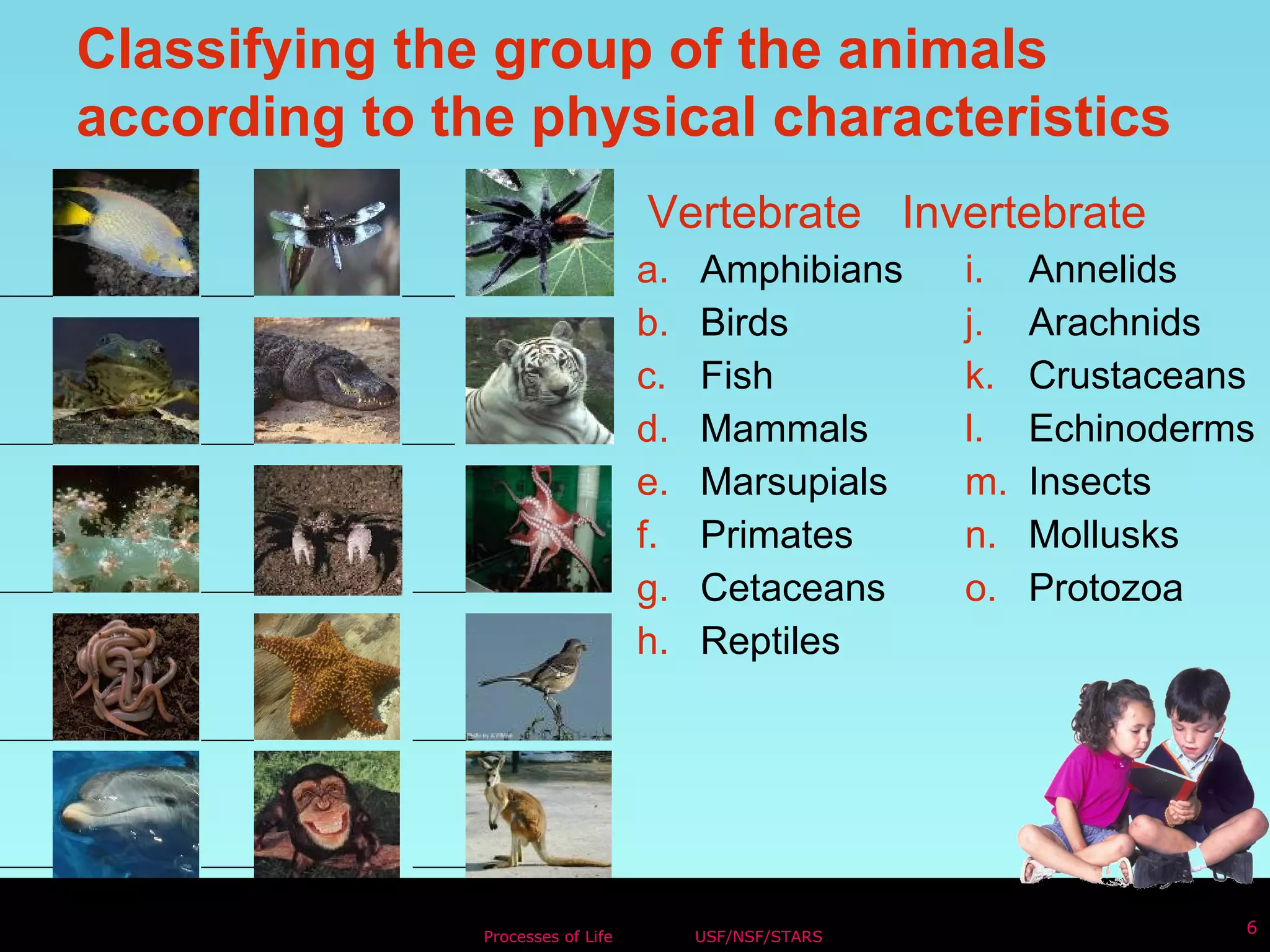 Animal classfication | PPT