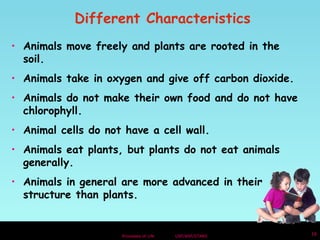 Animal classfication | PPT