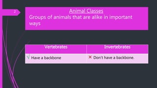 Animal Classes | PPT