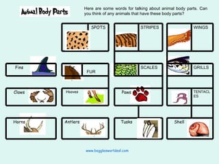Animal classification | PPT