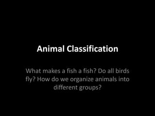 Animal classification | PPTX