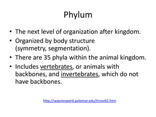 Animal classification | PPT