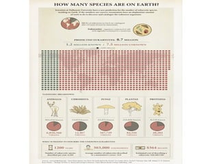 Animal classification | PPT